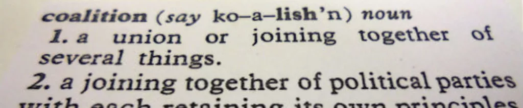 What Is A Coalition Government? - MoAD Democracy Stories